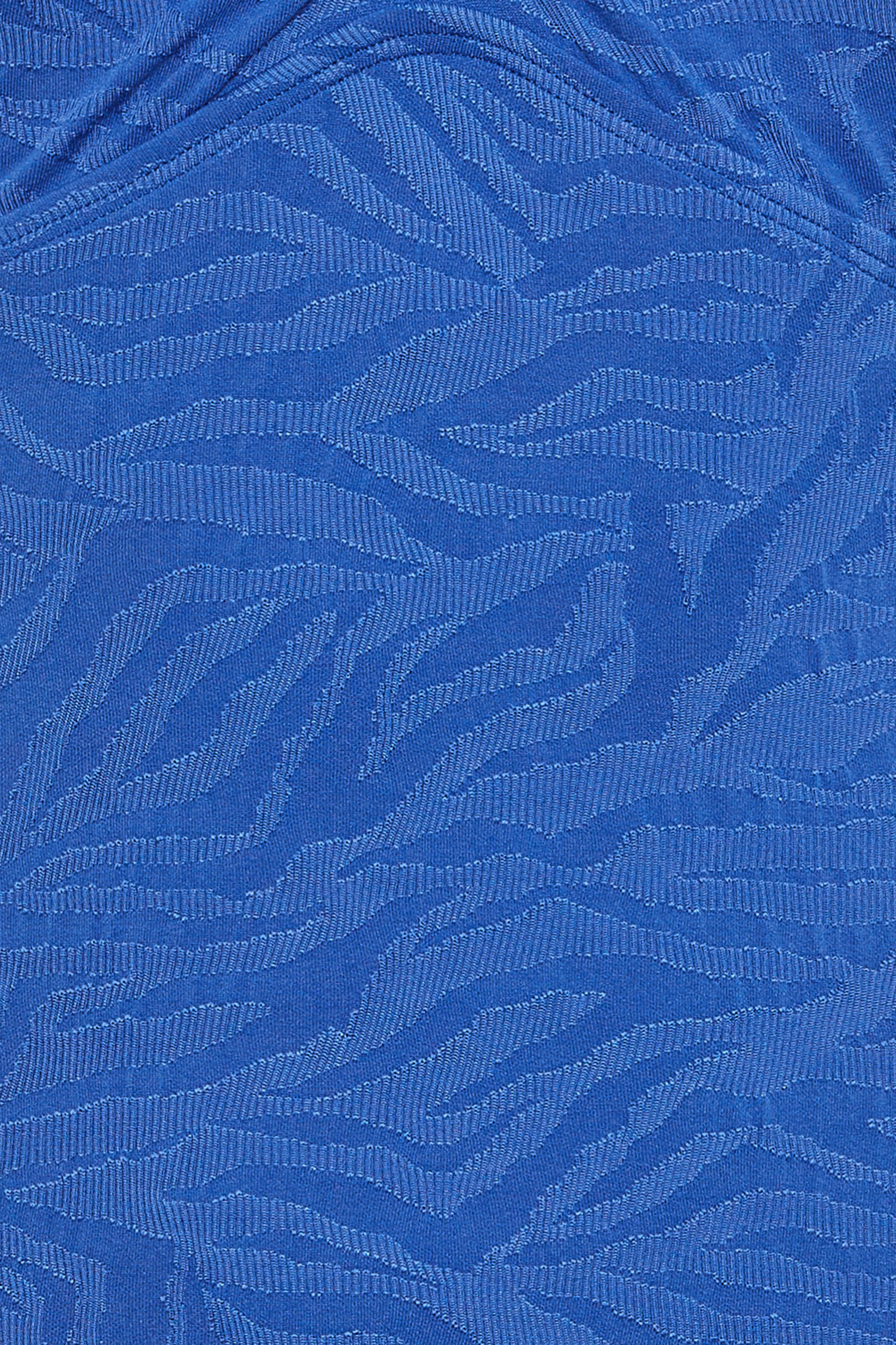 M&Co Cobalt Blue Zebra Textured Swimsuit | M&Co